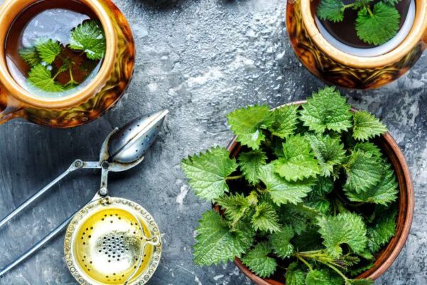 Löwenzahntee: Anwendung und Zubereitung