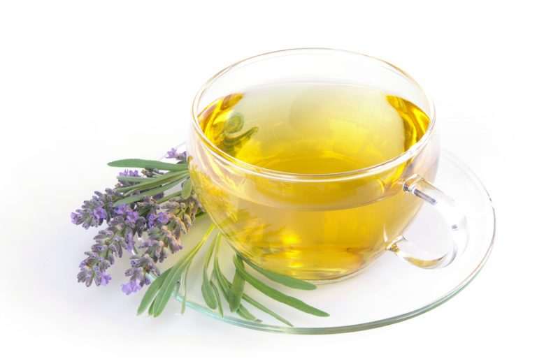 Wermuttee - Wirkug, Zubereitung, Wermut-Aufguss