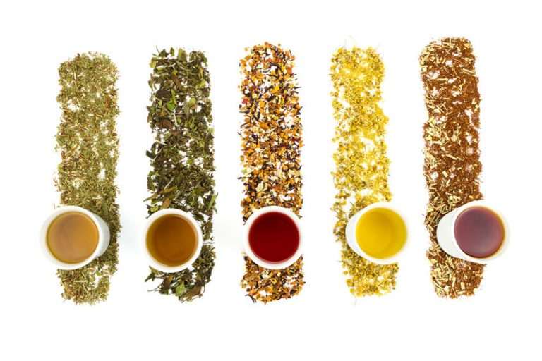 Wermuttee - Wirkug, Zubereitung, Wermut-Aufguss